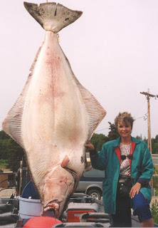 WACHAPREAGUE FISHING REPORT: World Record Flounder