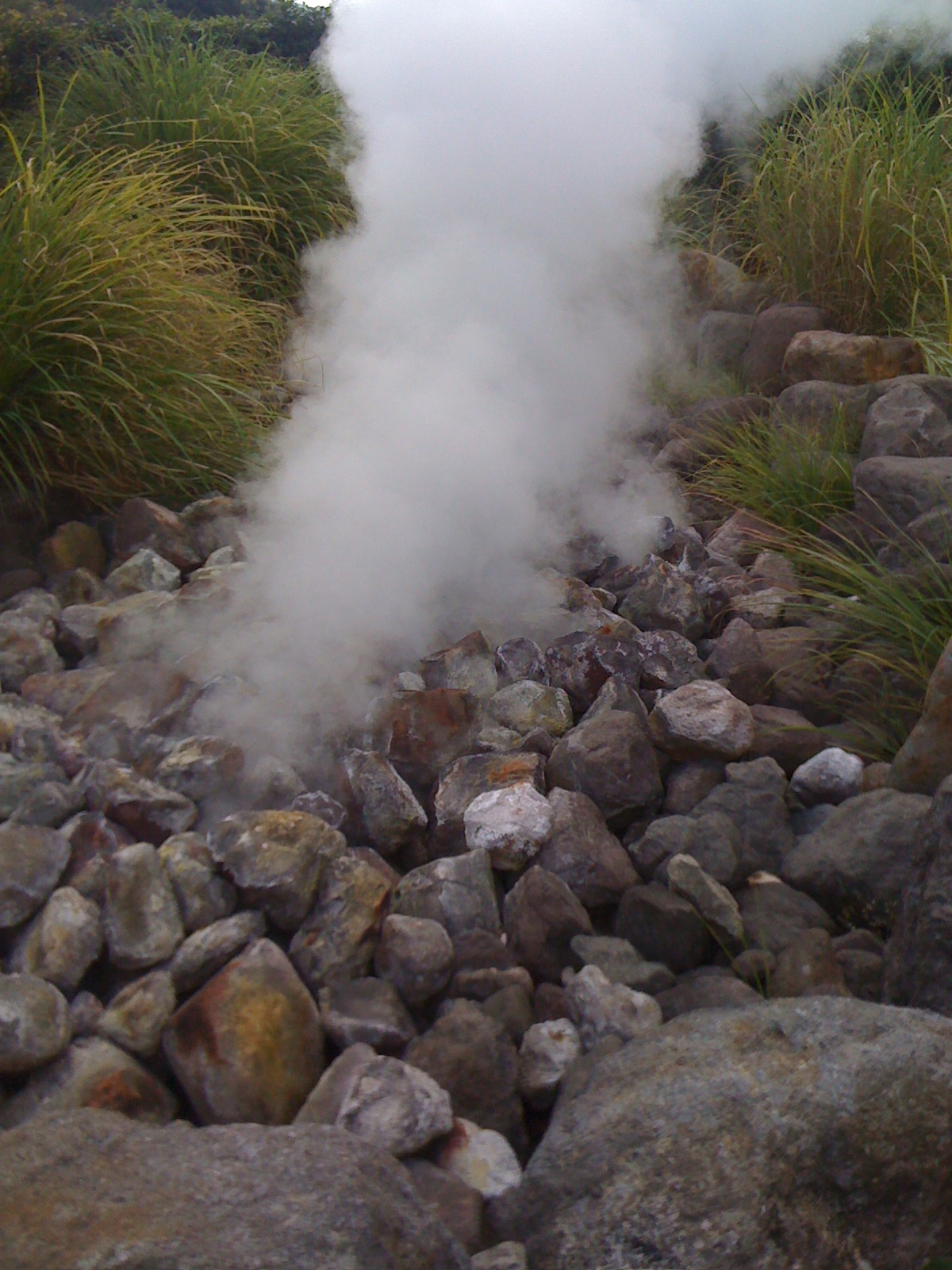 L.J. Popp's World adventures!: Beppu "hells" tour