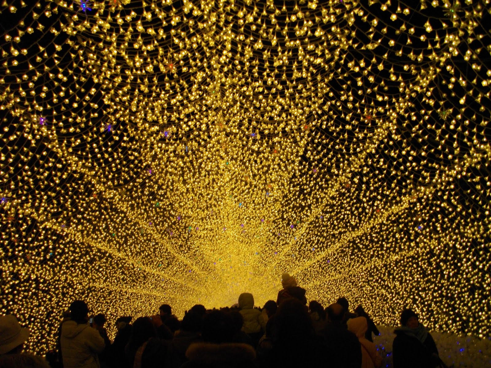 L.J. Popp's World adventures!: Japanese Illuminations!