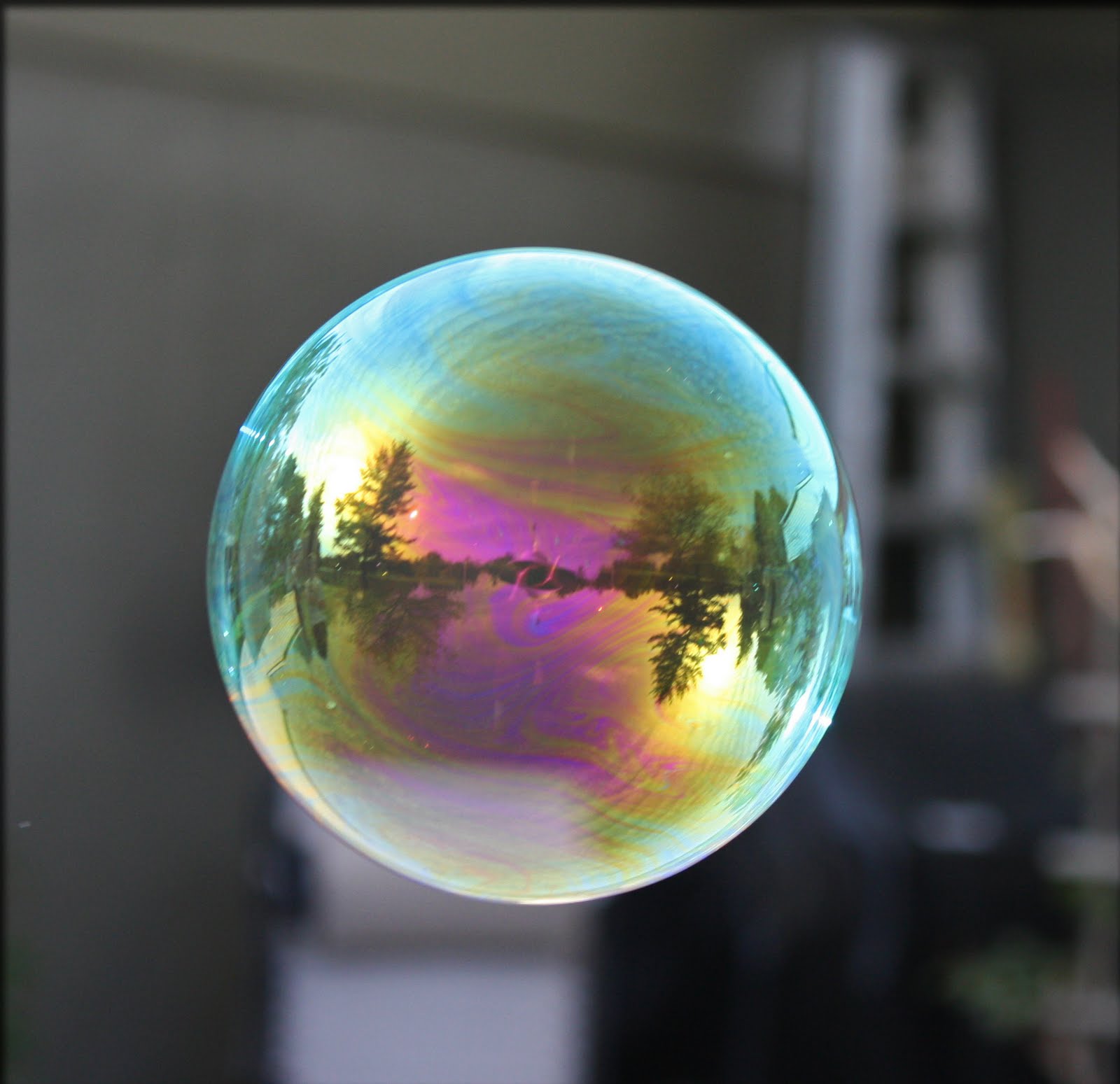 Nature As Is: Nature In Bubbles