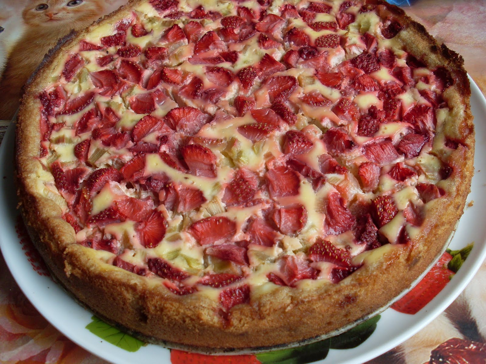 Kokkamine: Rabarberi-maasikakook