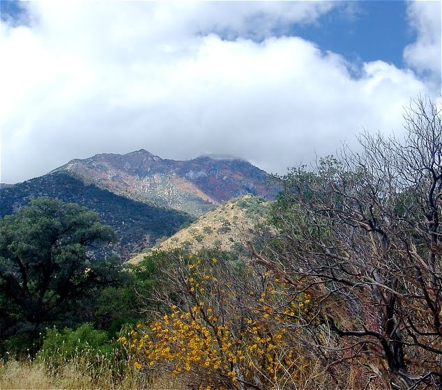 carnage and culture: The Arizona Desert and its People