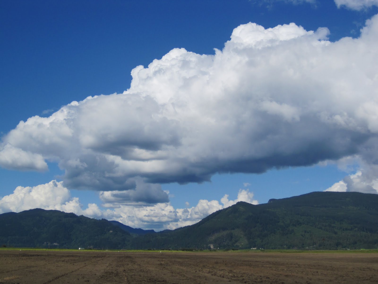 Pieceful Afternoon: Clouds