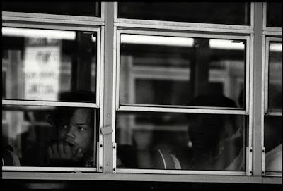 Boston Busing Project: December 2008