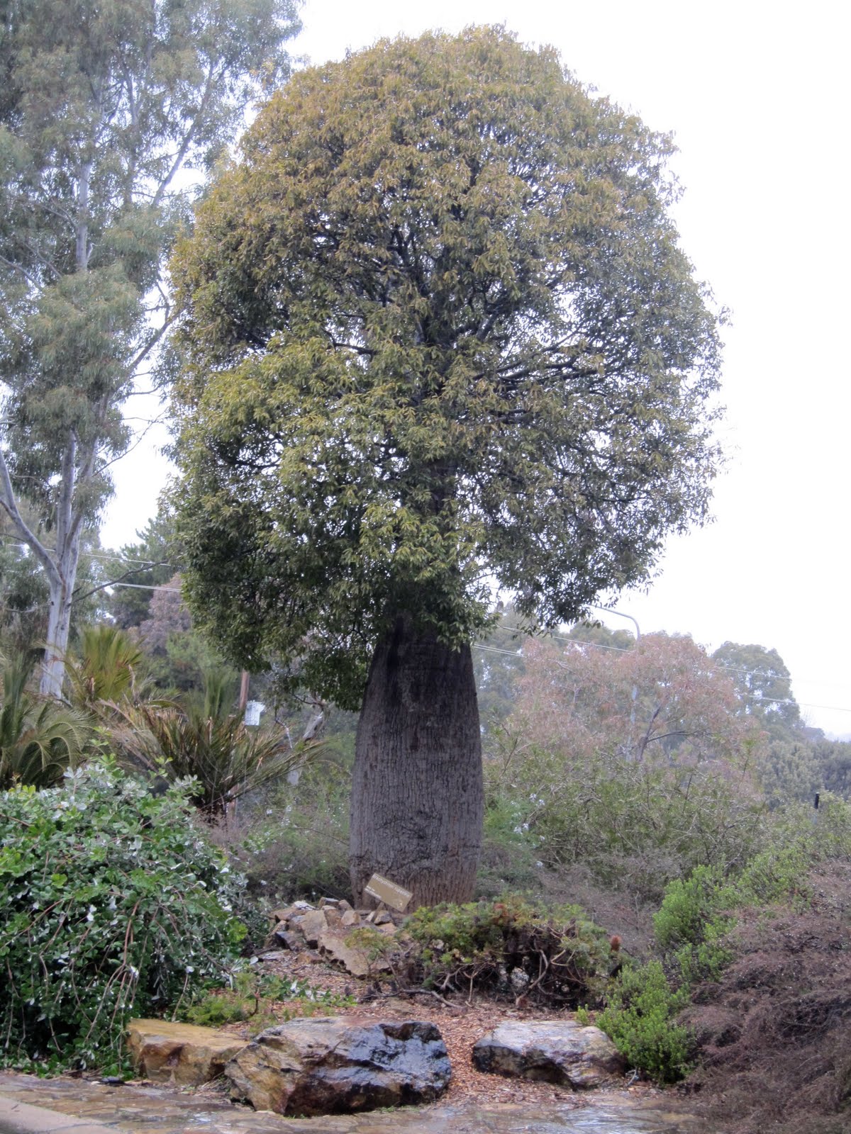 Sue Spargo: August 2010