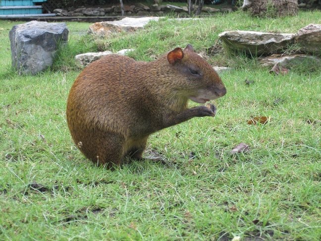 s/v Annah Foster - My Last Adventure by Dennis Doak: Cold Morning 68 ...