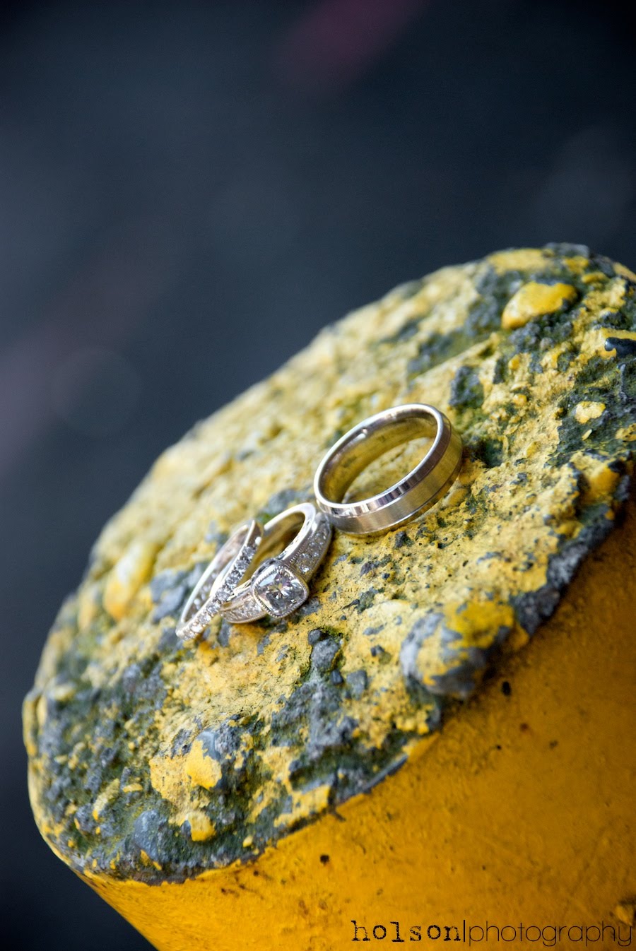 holson photography: Anna & Chad Ellermeier