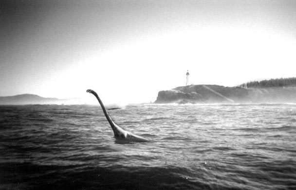 Cryptomundo » WILLATUK: THE LEGEND OF SEATTLE’S SEA SERPENT Earns A ...
