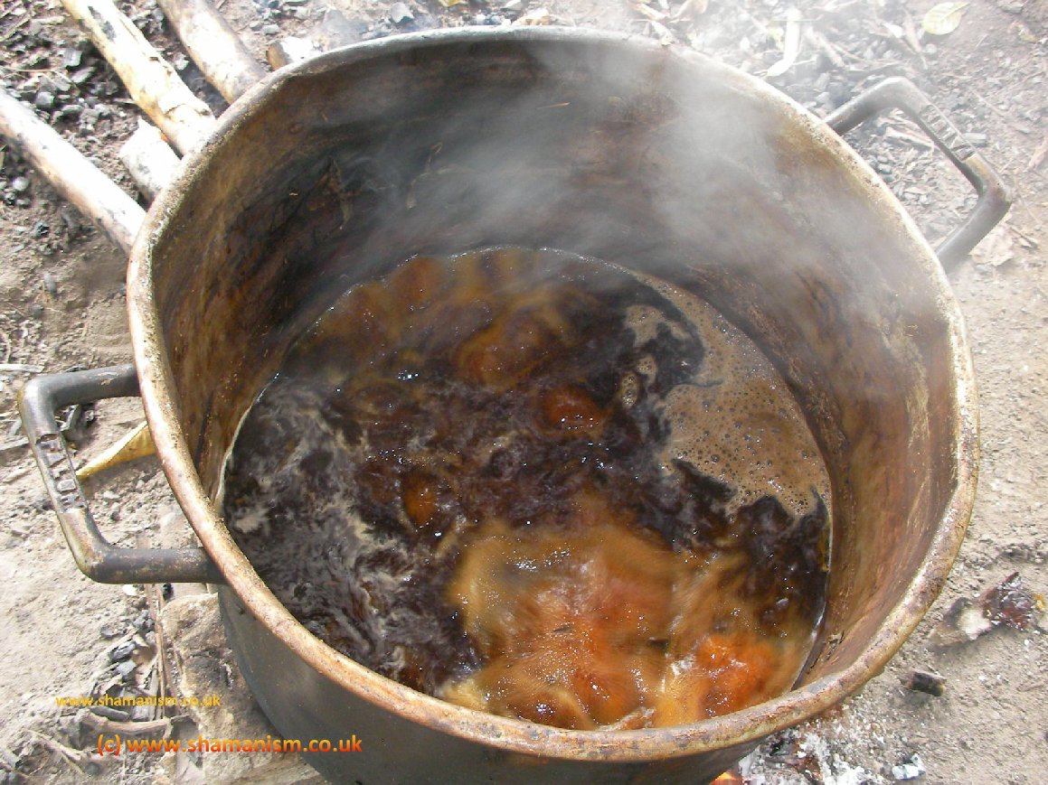 Indigenous Medicinal Plants: Ayahuasca