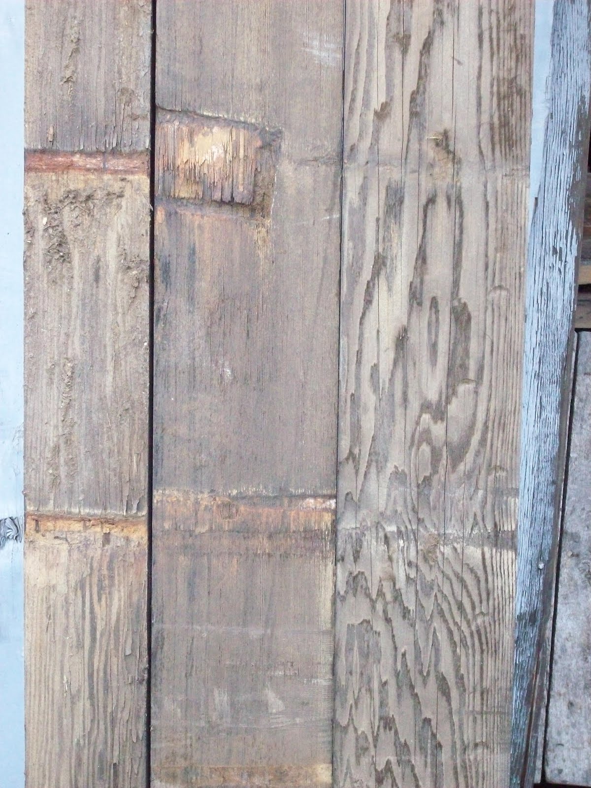 Recent Acquisitions: Tank Wood