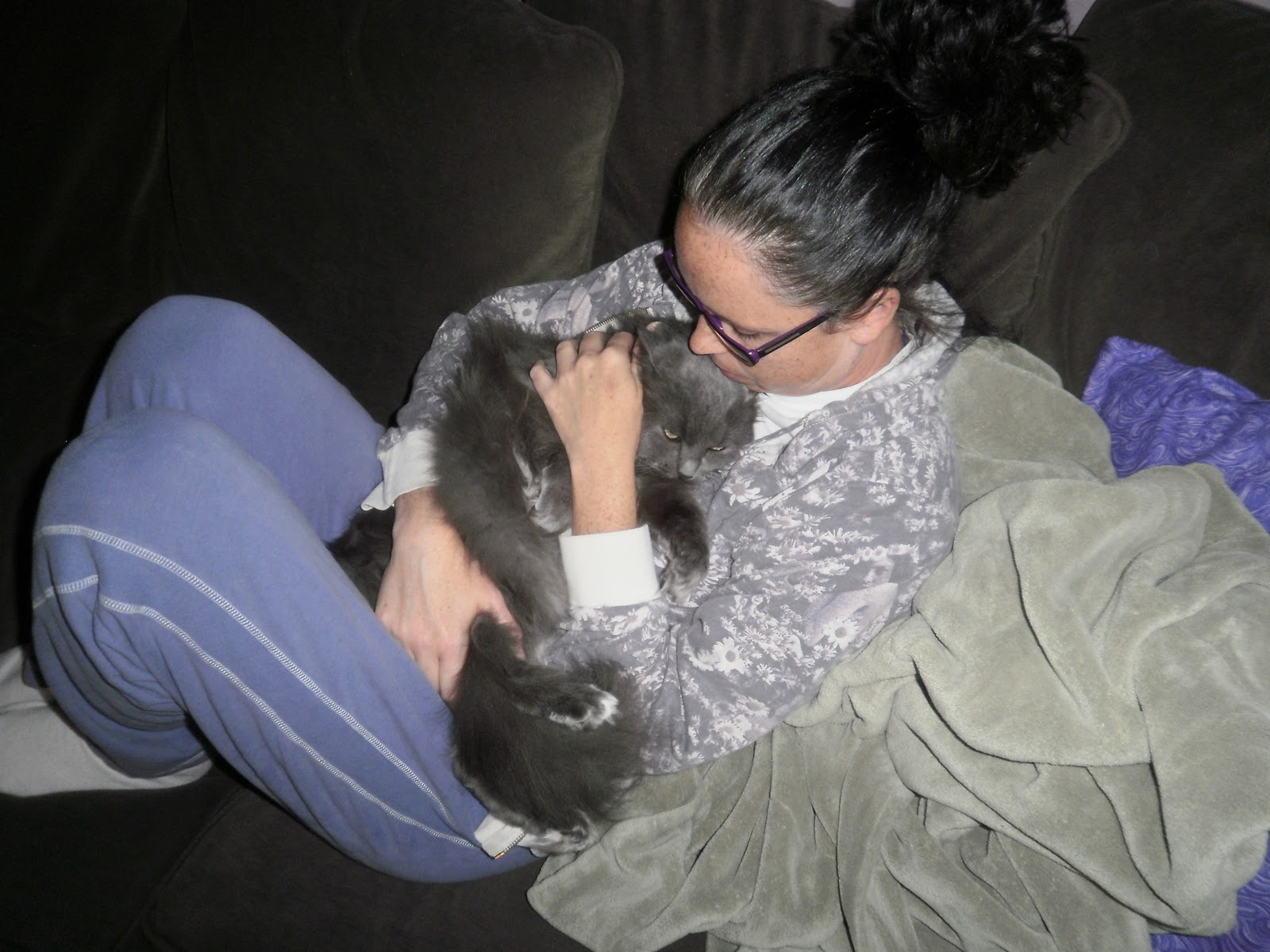 Catladyland: Cats are Funny: Why Cat Snuggling is Better Than Housework