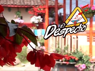 El Rincon Del Despecho