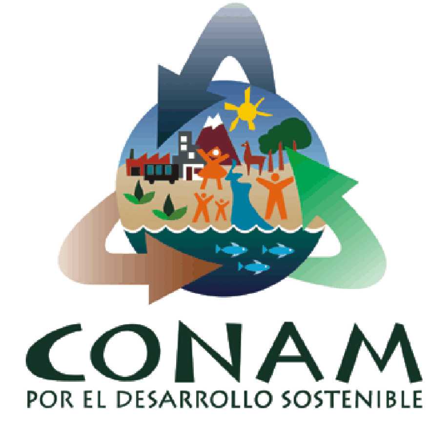 EL DERECHO AMBIENTAL EN EL PERU: EL DERECHO AL MEDIO AMBIENTE EN EL ...