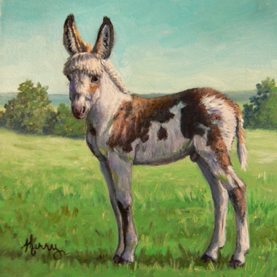 Horse art, Equine art, for sale.: "Donkey Foal" miniature oil by Kerry ...
