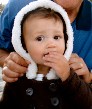 Sweet & Savory: Fat Emma Cookies