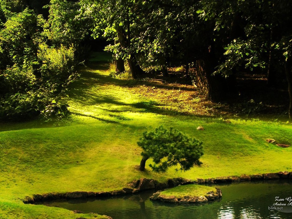 Welcome To Nature: Nature's Smile