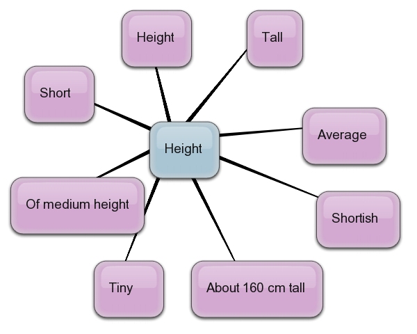1C 2010-2011: Height mind map
