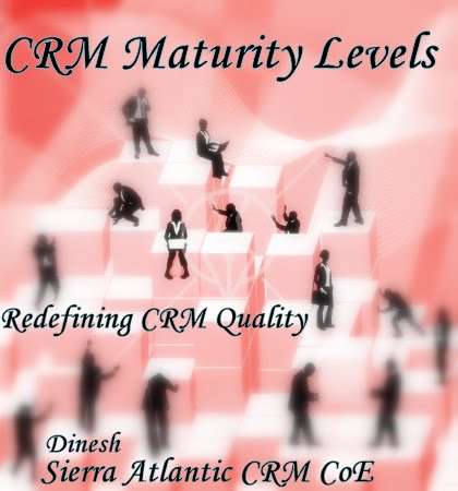 Dinesh Knowledge Planet :Your CRM, MDM & BI Blog.: CRM Maturity Levels ...