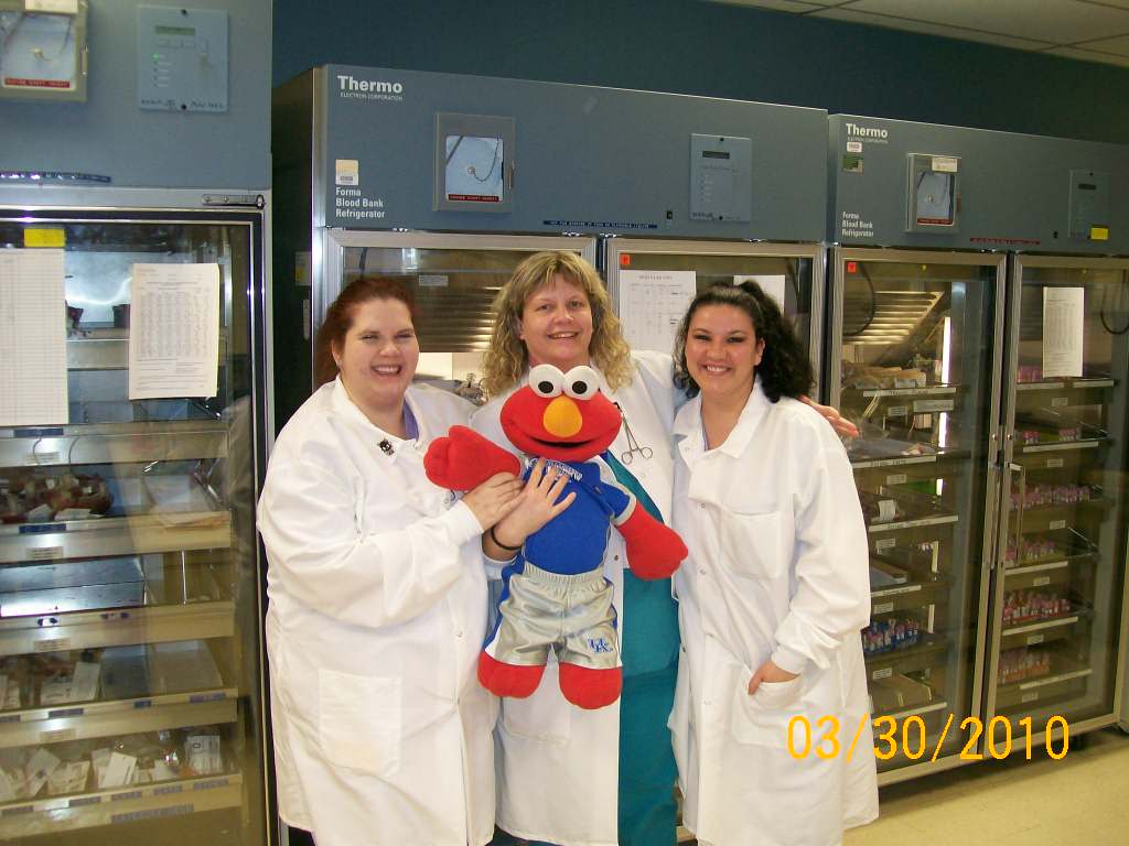 Elmo's World Trip!: Elmo volunteers and donates at the Kentucky Blood ...