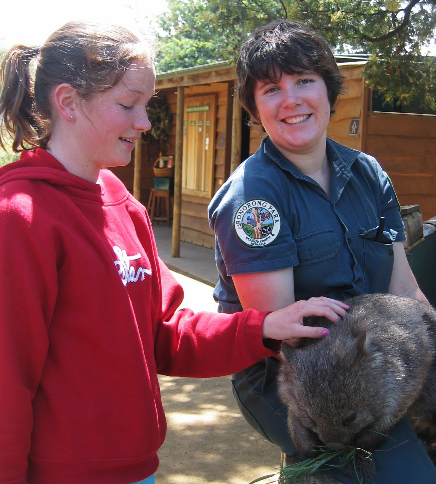 TravelSkite: Wombat combat