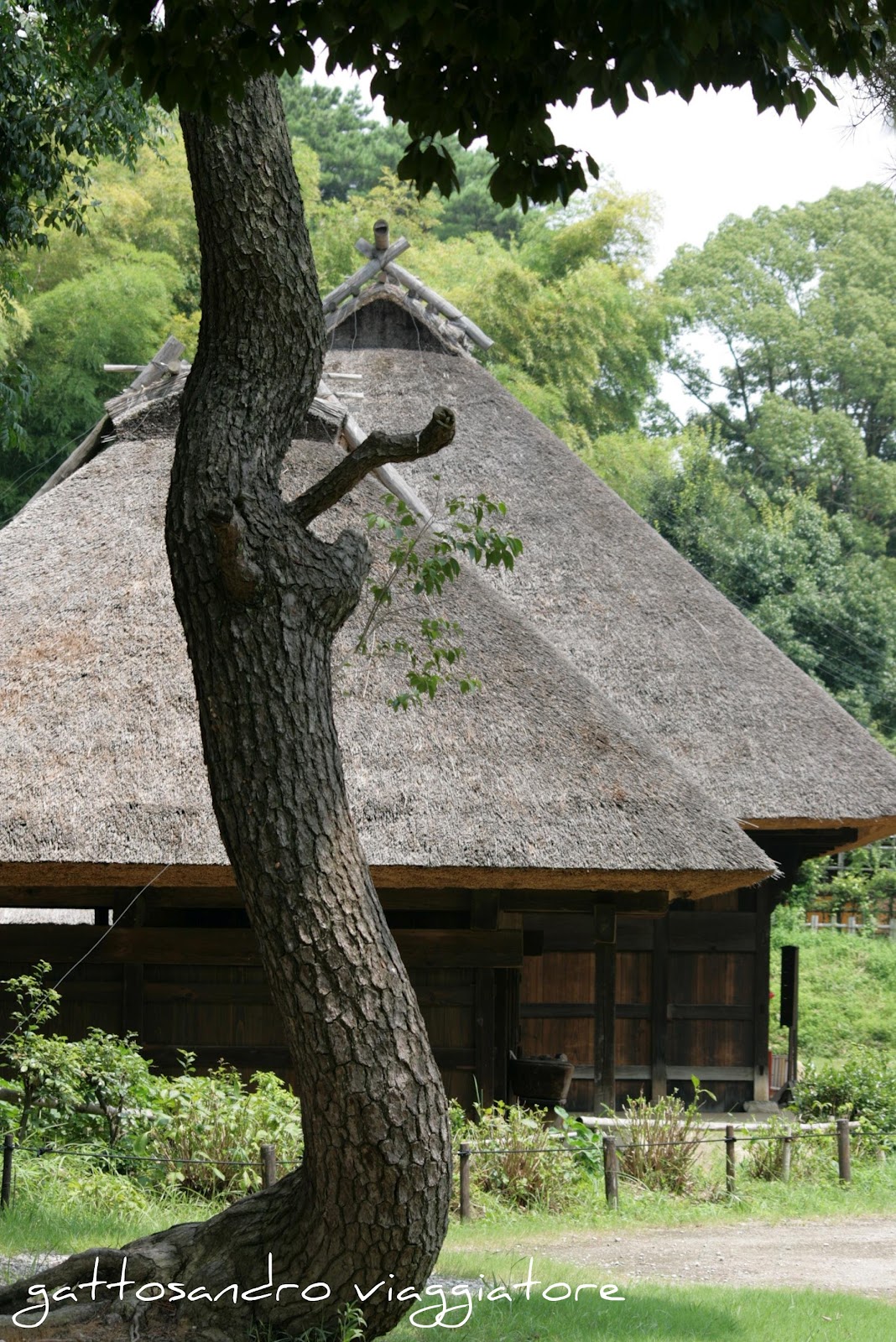 gattosandro viaggiatore - travel blog: Open-air Farm House Museum Osaka