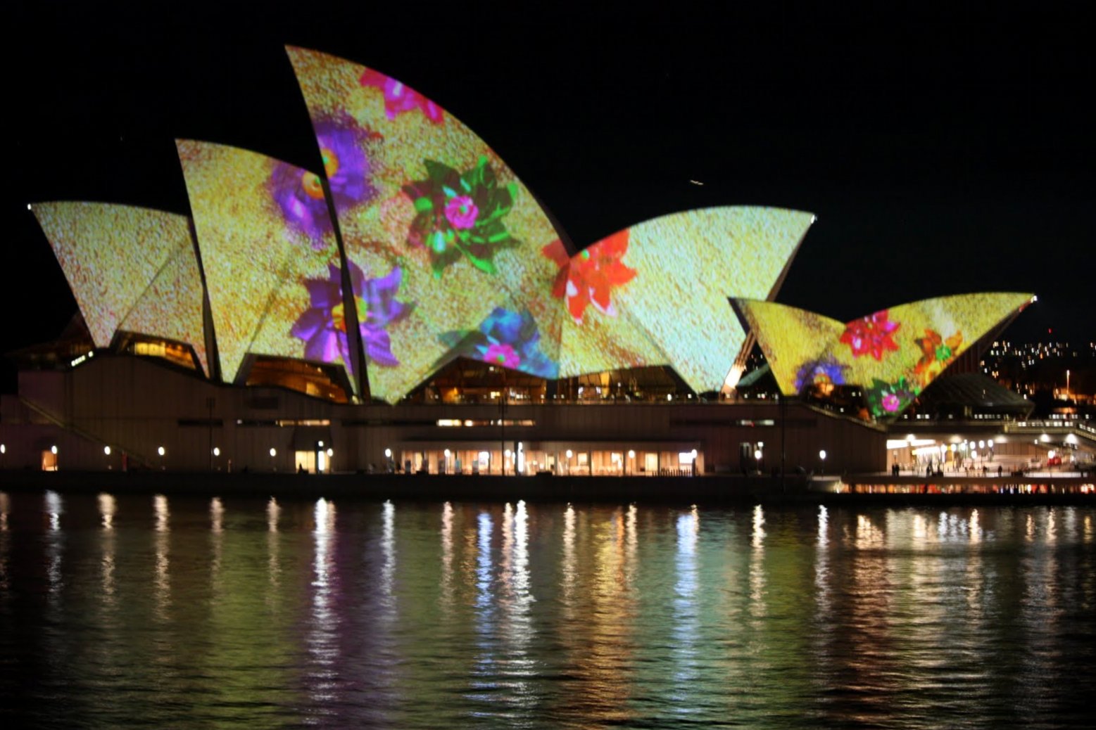 Sydney - City and Suburbs: Sydney Opera House, Vivid Sydney, Lighting ...