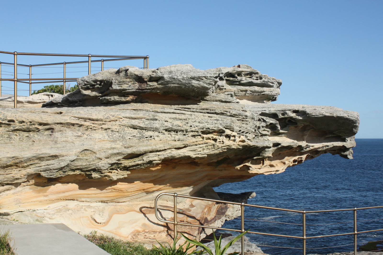 Sydney - City and Suburbs: North Bondi, cliff