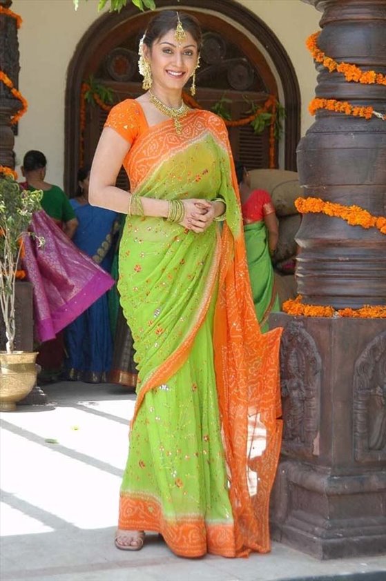 Film Actress Photos: Manjari Fadnis Sexy In Saree