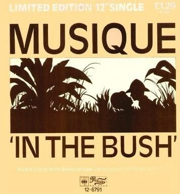 That 70's Groove: Push Push in the Bush