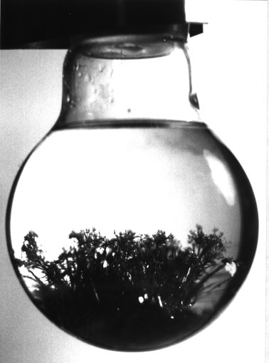 Forensics: Fingerprinting