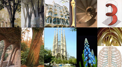 IAAC / Digital Technologies in Architecture / 2007: Gaudi: Nature ...