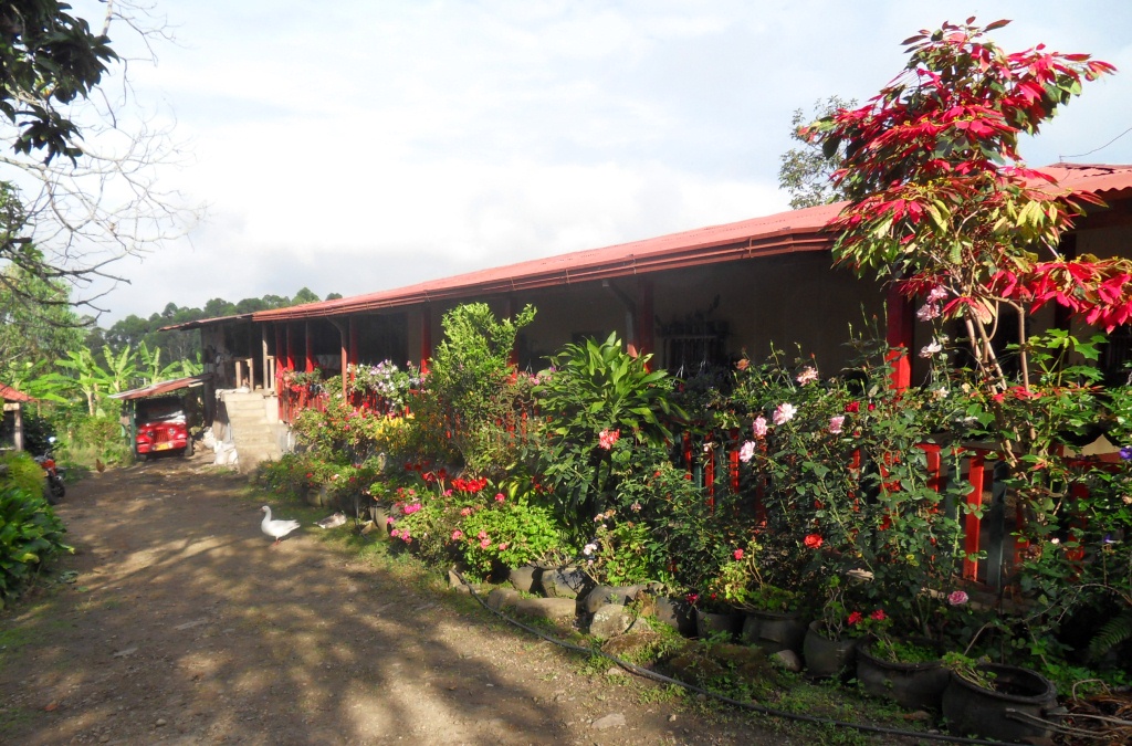 Noticias, Arte, Cultura y Turismo: Parque de Altamira Huila