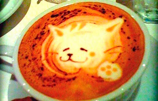 Catsparella: Warm Your Paws With A Cat Latte