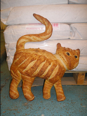 Catsparella: Cat Bread AKA Real Life Kitty Loaves