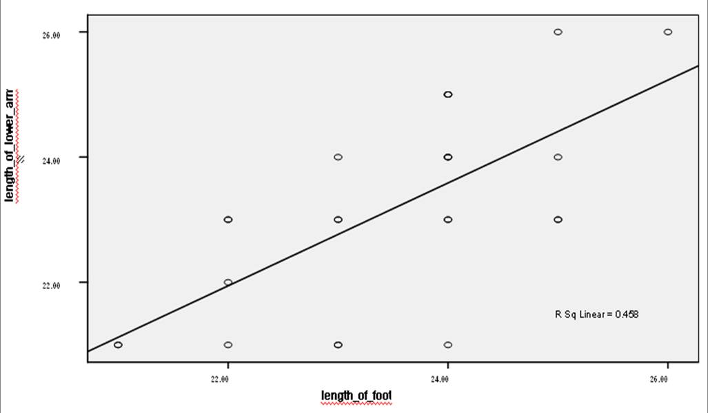 Subgroup 1, Tutorial Group NR0921