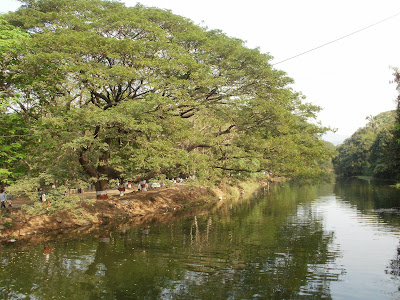No wander: Borivali National Park