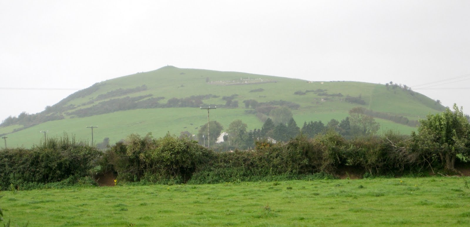 Croghan Mountain, Wexford. : r/ireland