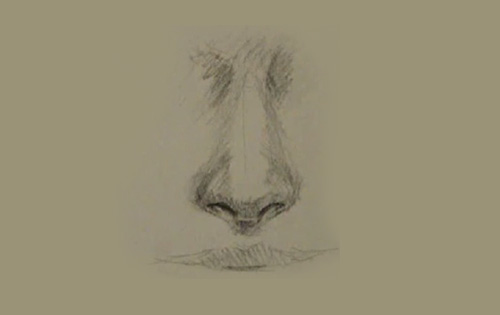 How to draw a nose