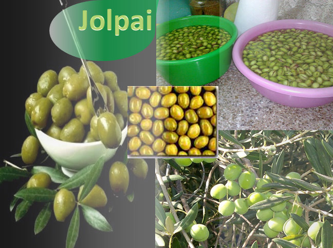 Fruits of Bangladesh