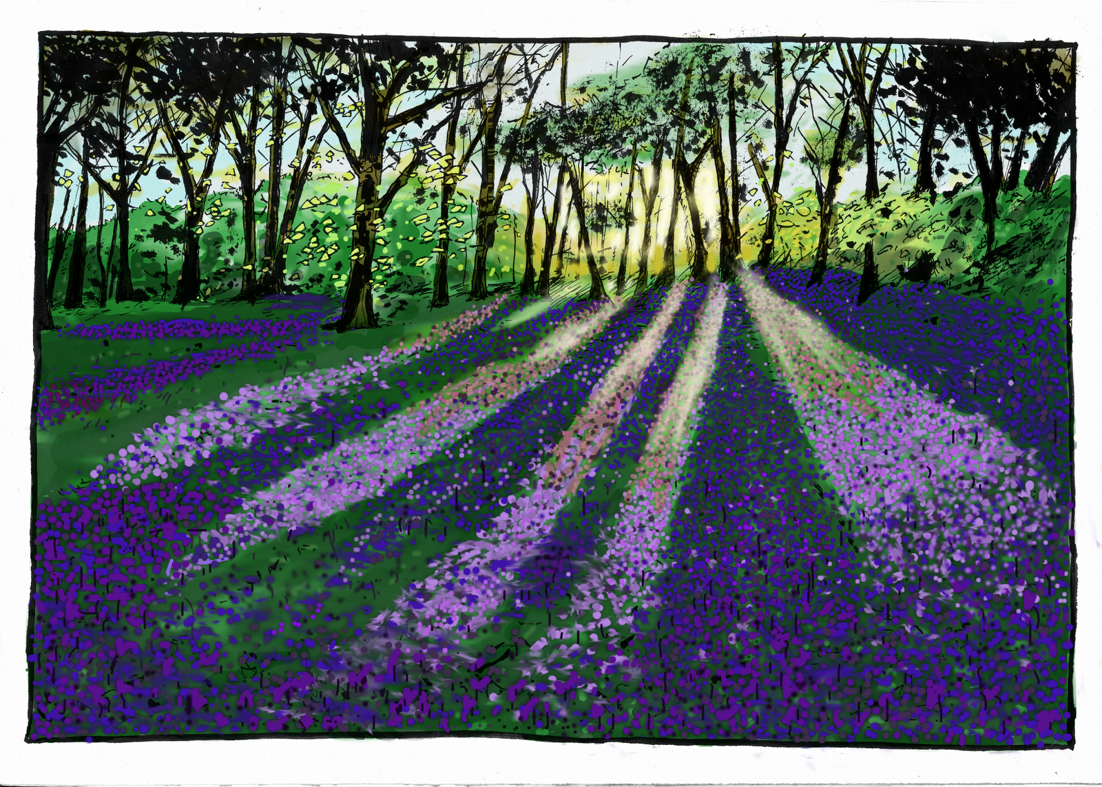 Wanch upon a time ...: Champ de violettes