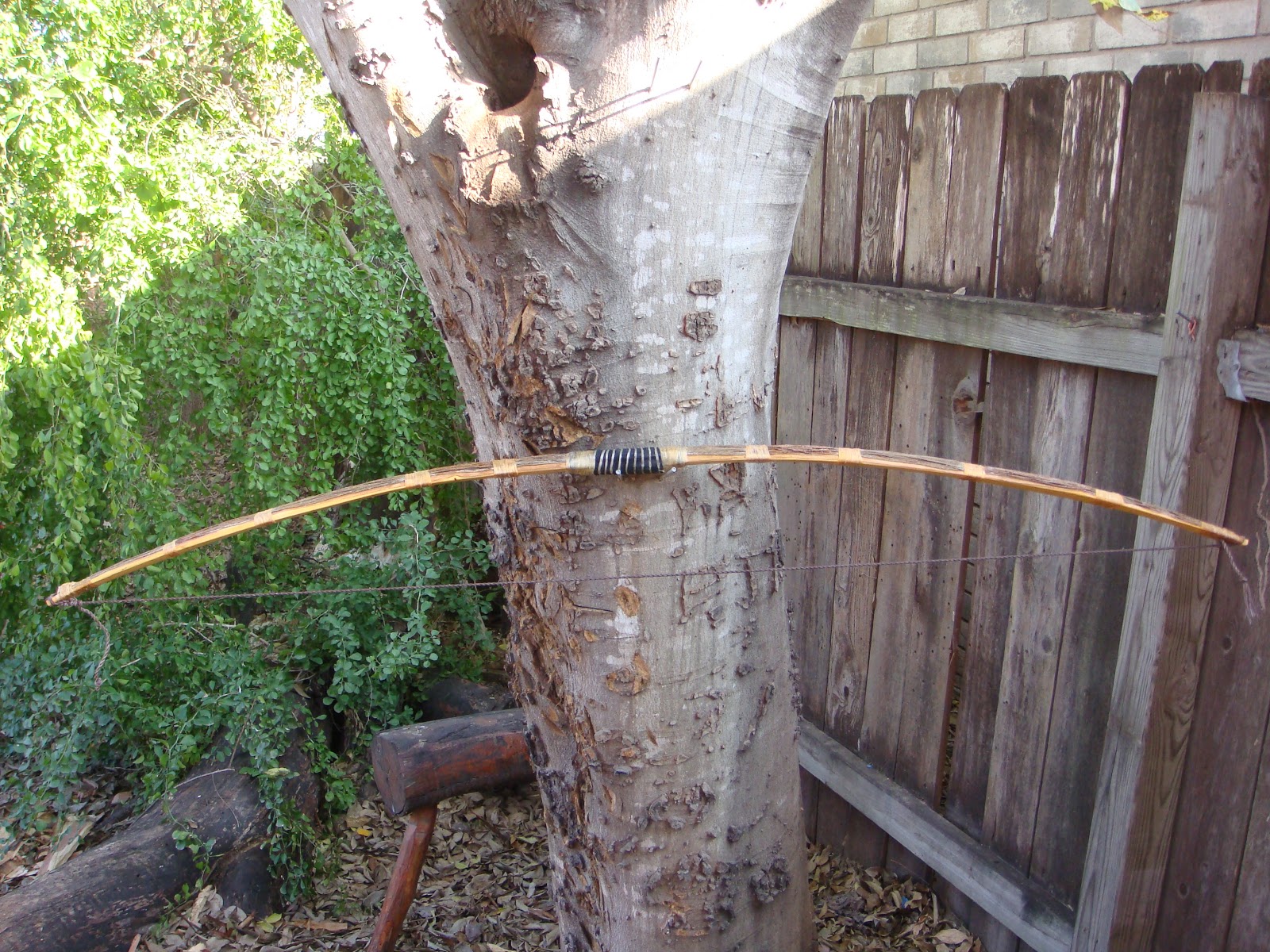 Woods Roamer: Bows and Arrows of the Coahuiltecan Geographical Region