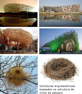 Acuidade da Forma: Biónica