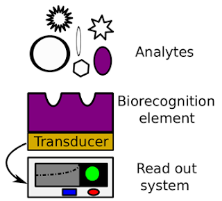 Basics of Biosensing: Basics on biosensing