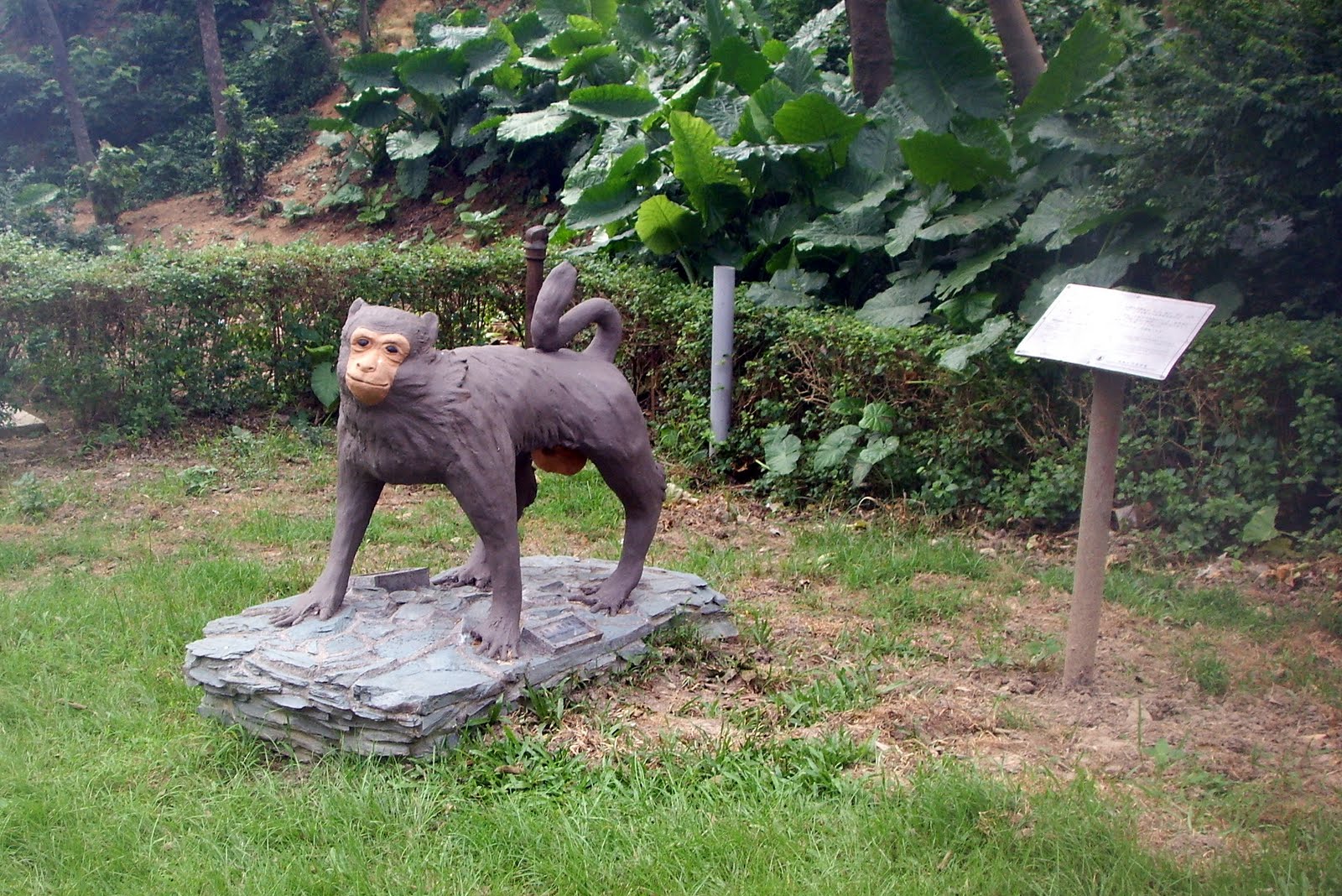 Calvin, Ashton, Camden, Coulton & Jace: Monkey Mountain, Nan Lian ...