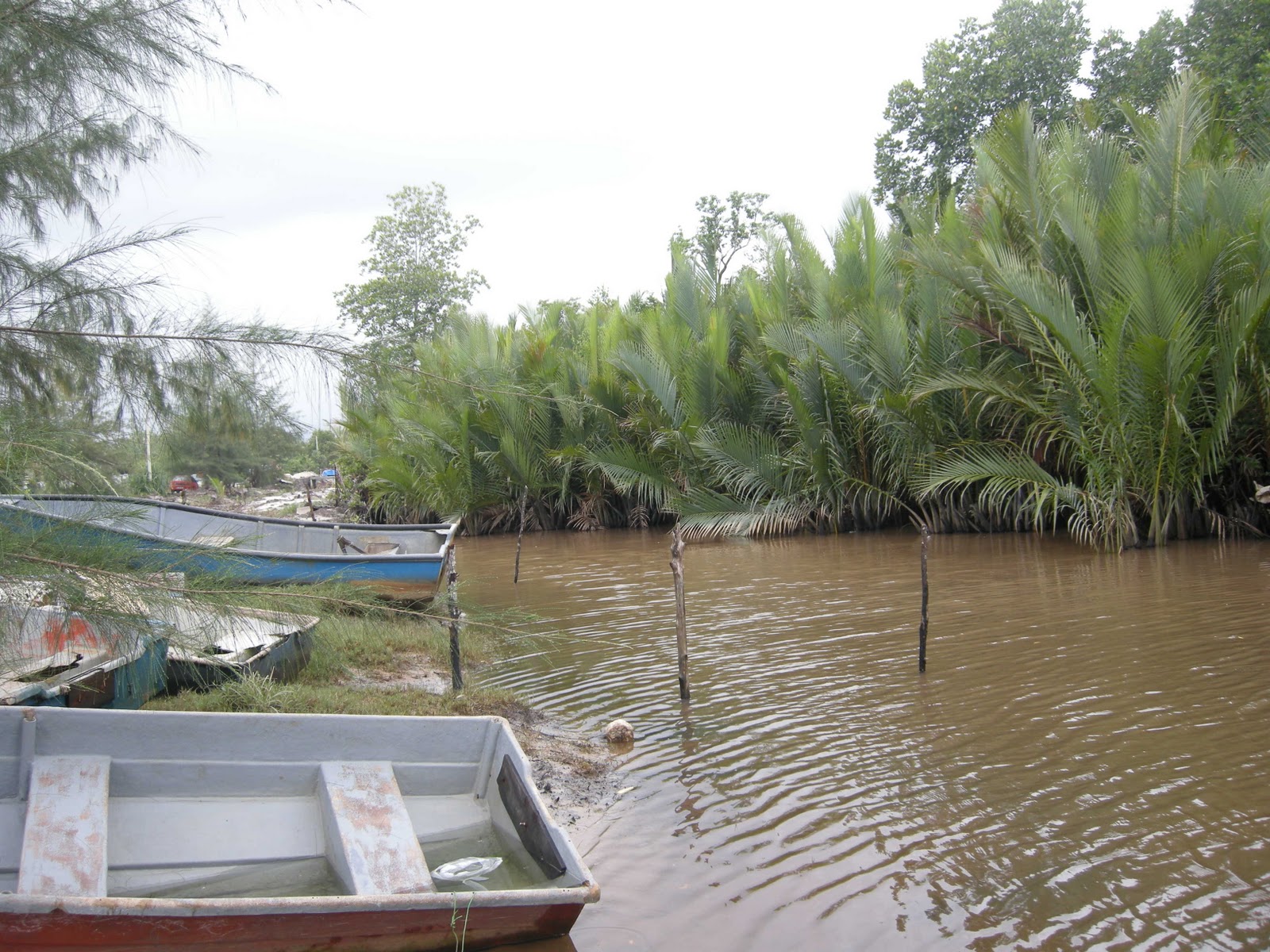 Terengganu My Heritage: Gambar-gambar dari Laguna Setiu