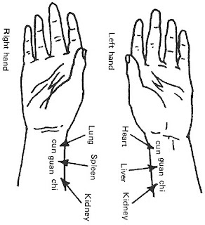 DavidCohen:Traditional Chinese Medicine II: PULSE DIAGNOSIS