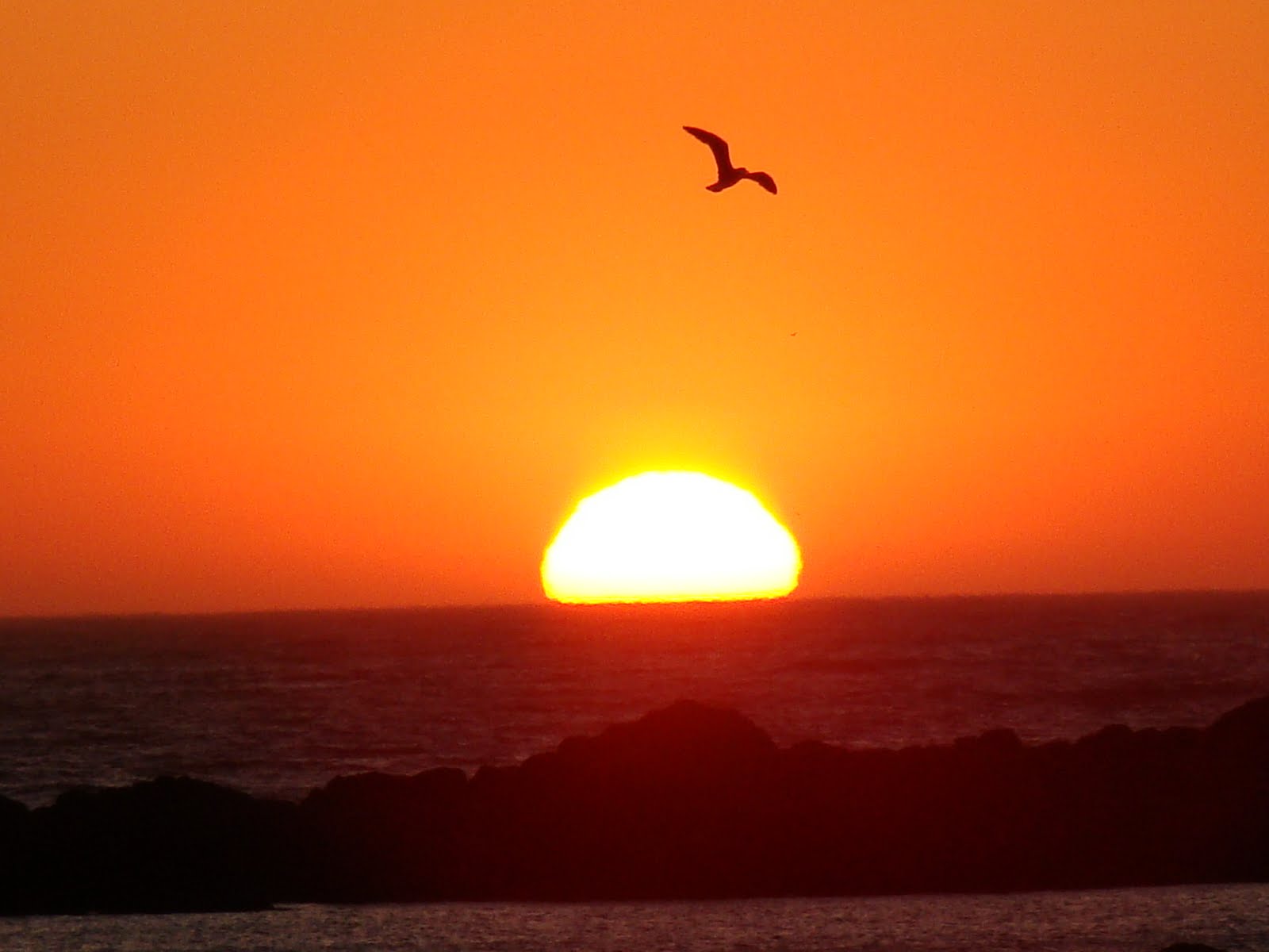 CANTINHO DA EDUCAÇÃO: PÔR DO SOL...