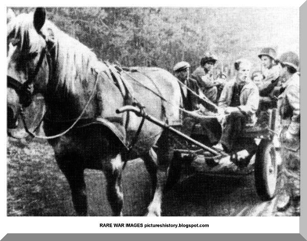 PICTURES FROM HISTORY: Rare Images Of War, History , WW2, Nazi Germany ...