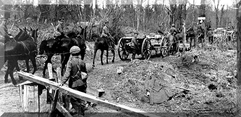 PICTURES FROM HISTORY: Rare Images Of War, History , WW2, Nazi Germany ...