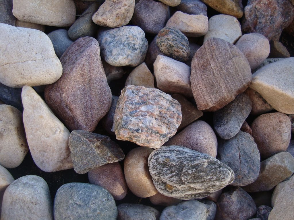 A Bird's Eye View: Rock n' Roll